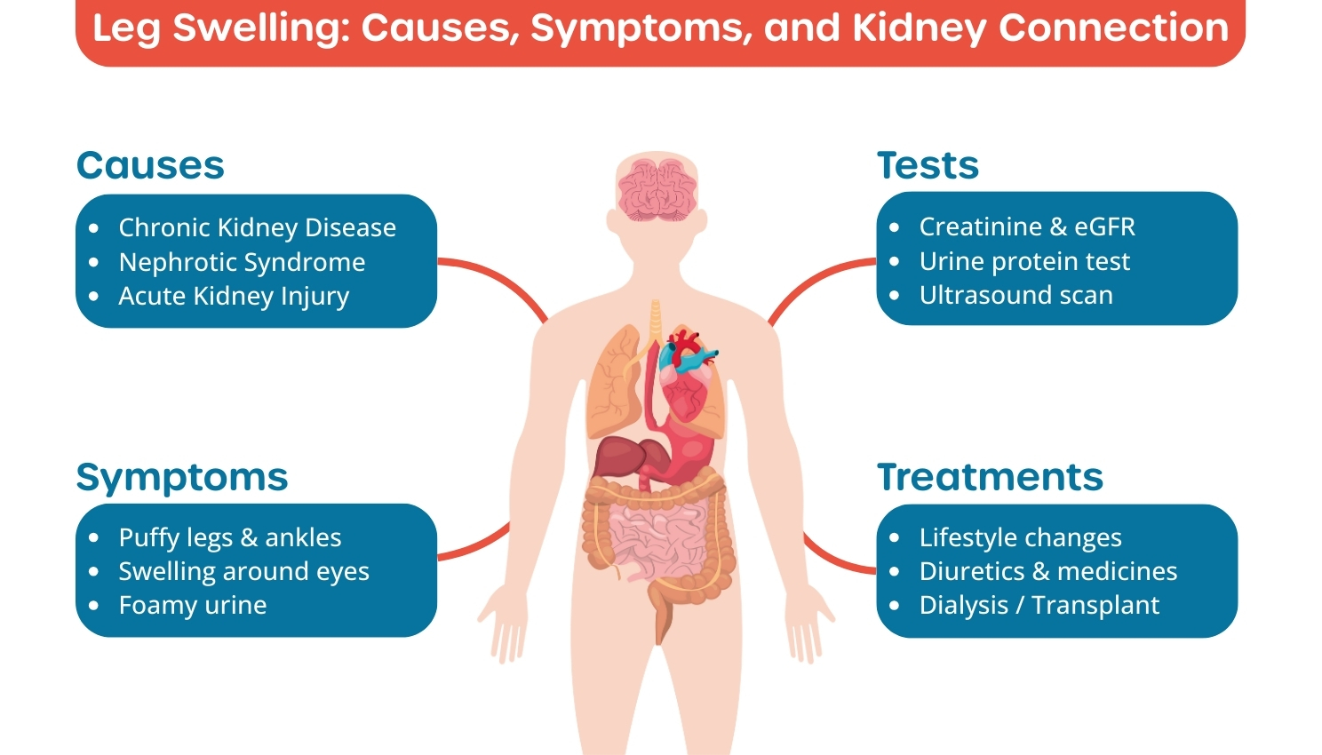 Swelling in Your Legs - Is There a Problem With Your Kidneys